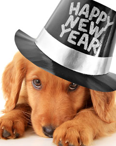 challenge, new year resolutions, rule of one | Everything Counts ...